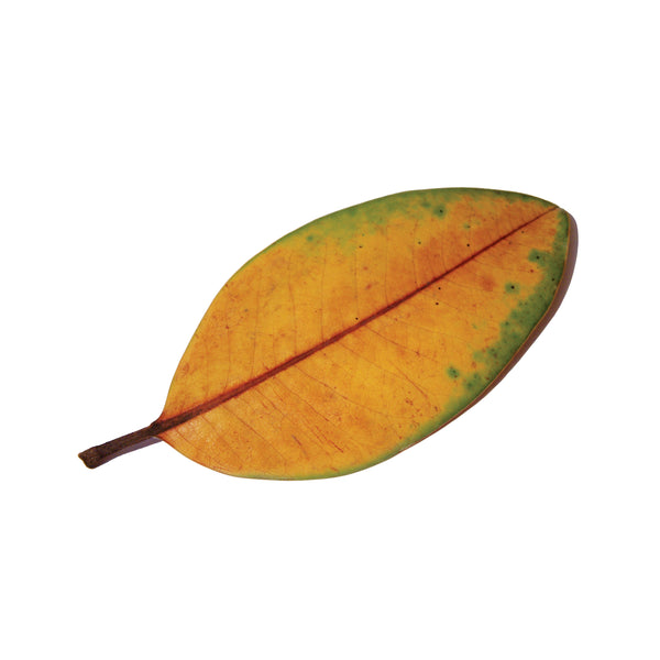 La Quiete "La Fine Non è La Fine" – Persistent Vision Records