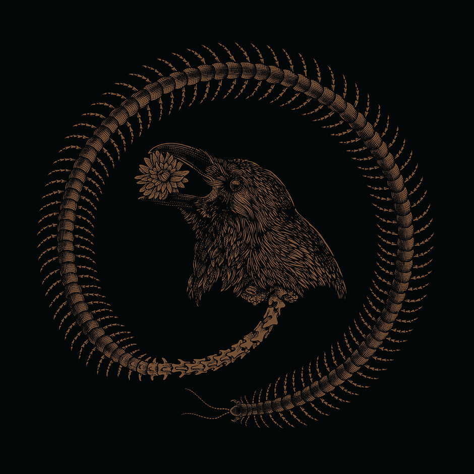 Persistent Vision Records