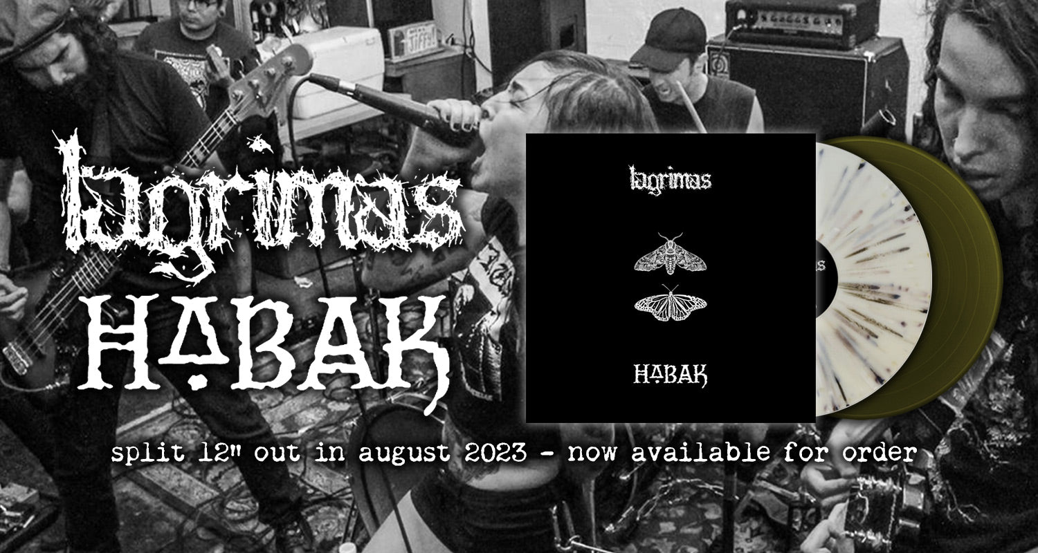 Persistent Vision Records